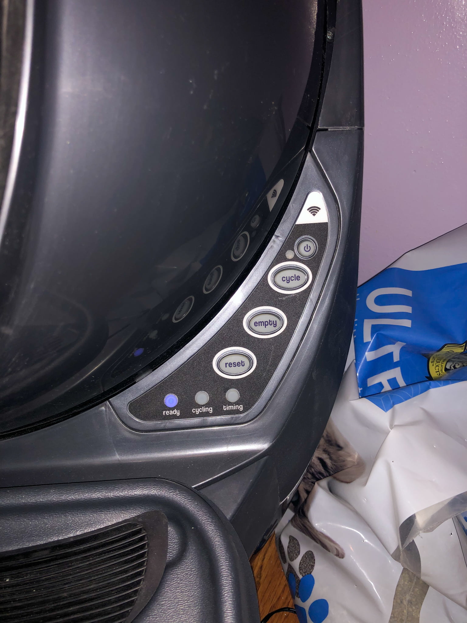 Ultimate Guide to Cat Litter Boxes, Litter, and Accessories